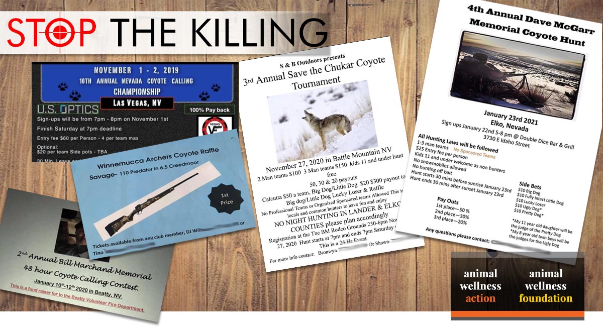 Petitions • Animal Wellness Action