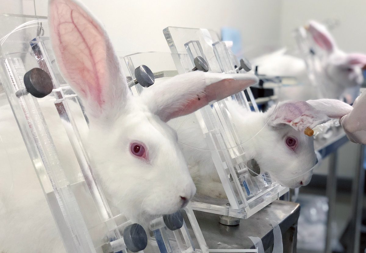 FDA Modernization Act 2.0 a Boon for Animals and Patients