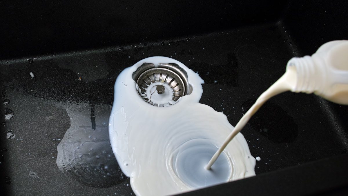 Breaking the Dairy Industry Monopoly in the Public Schools