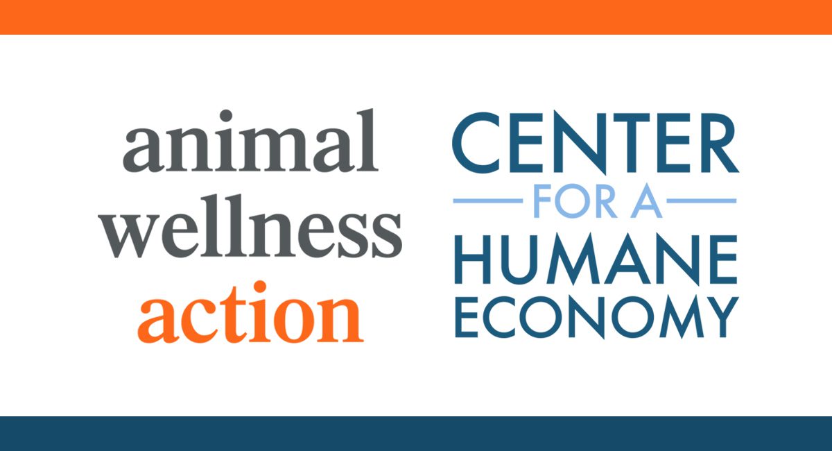 Animal Wellness Action Announces New Hires