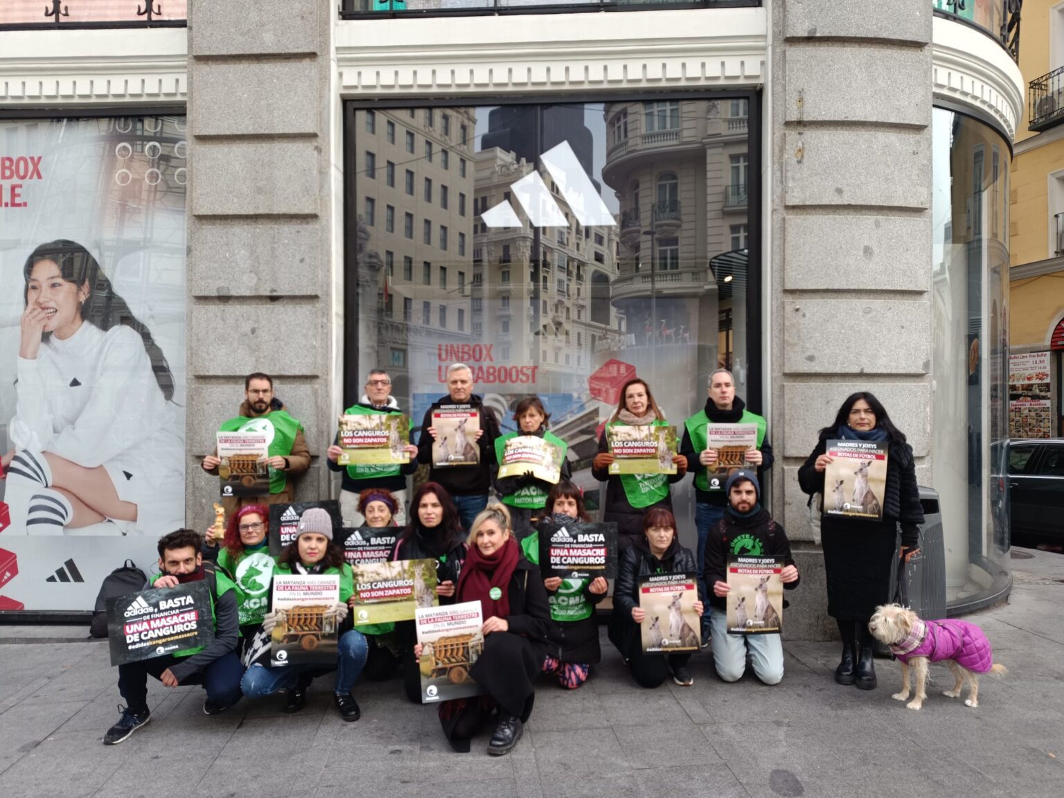 Animal Wellness Action | Helping Animals Helps Us All