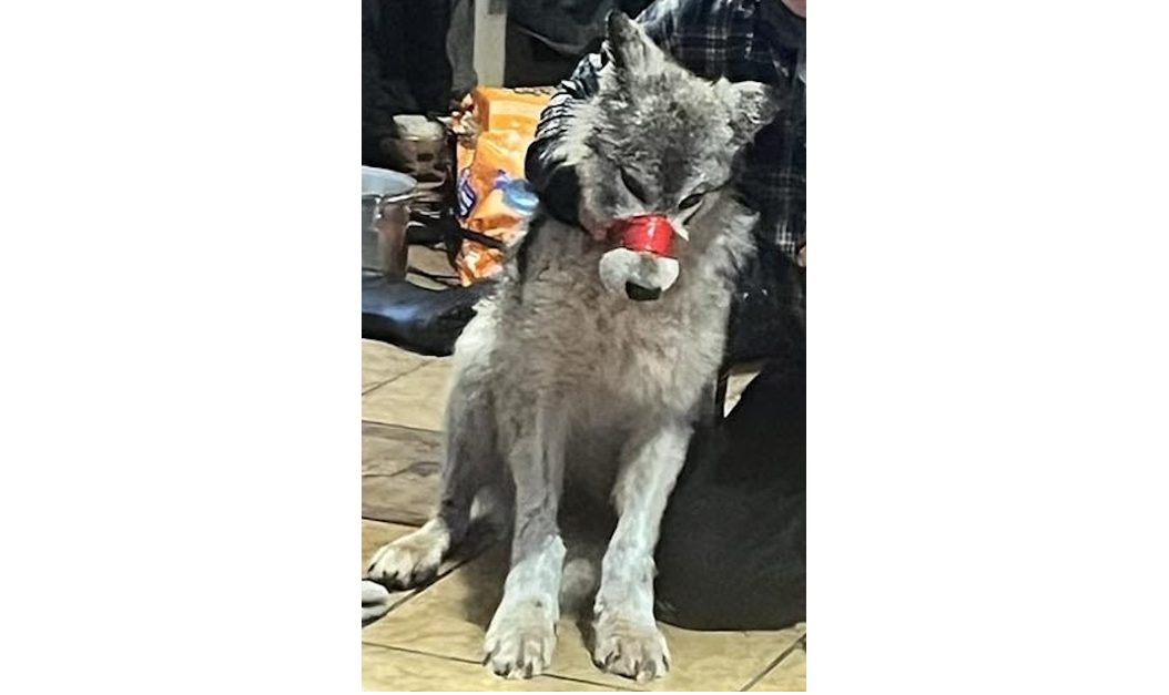 Dr Jim Keen, Veterinarian and Rancher, Calls on State of Wyoming to ...