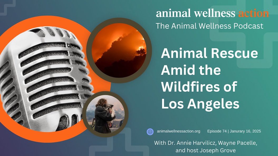 Animal Wellness Action | Helping Animals Helps Us All