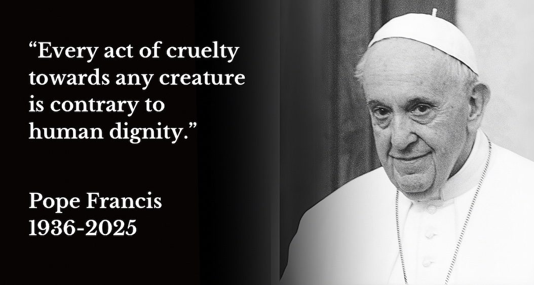 Pope Francis’ Warm Embrace of Protecting God’s Creation