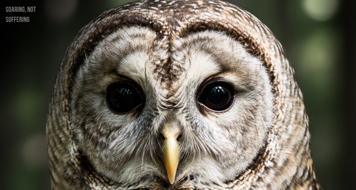 Moment of Truth for Barred Owls in the U.S. Senate